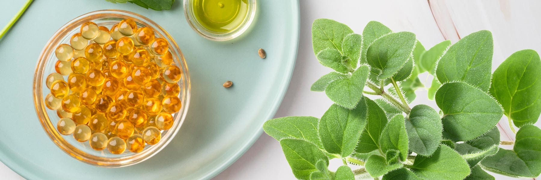 Aceite de orégano para candidiasis: ¿sí funciona?